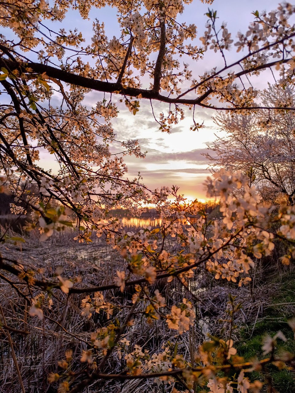 Auringonlasku Luonne Iltaisin - Ilmainen valokuva Pixabayssa