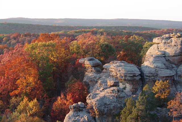 Cliff Autumn Forest - Free photo on Pixabay - Pixabay