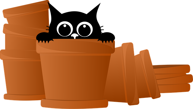 Free A Small Cat Vector Art - Download 3,255+ A Small Cat Icons ...