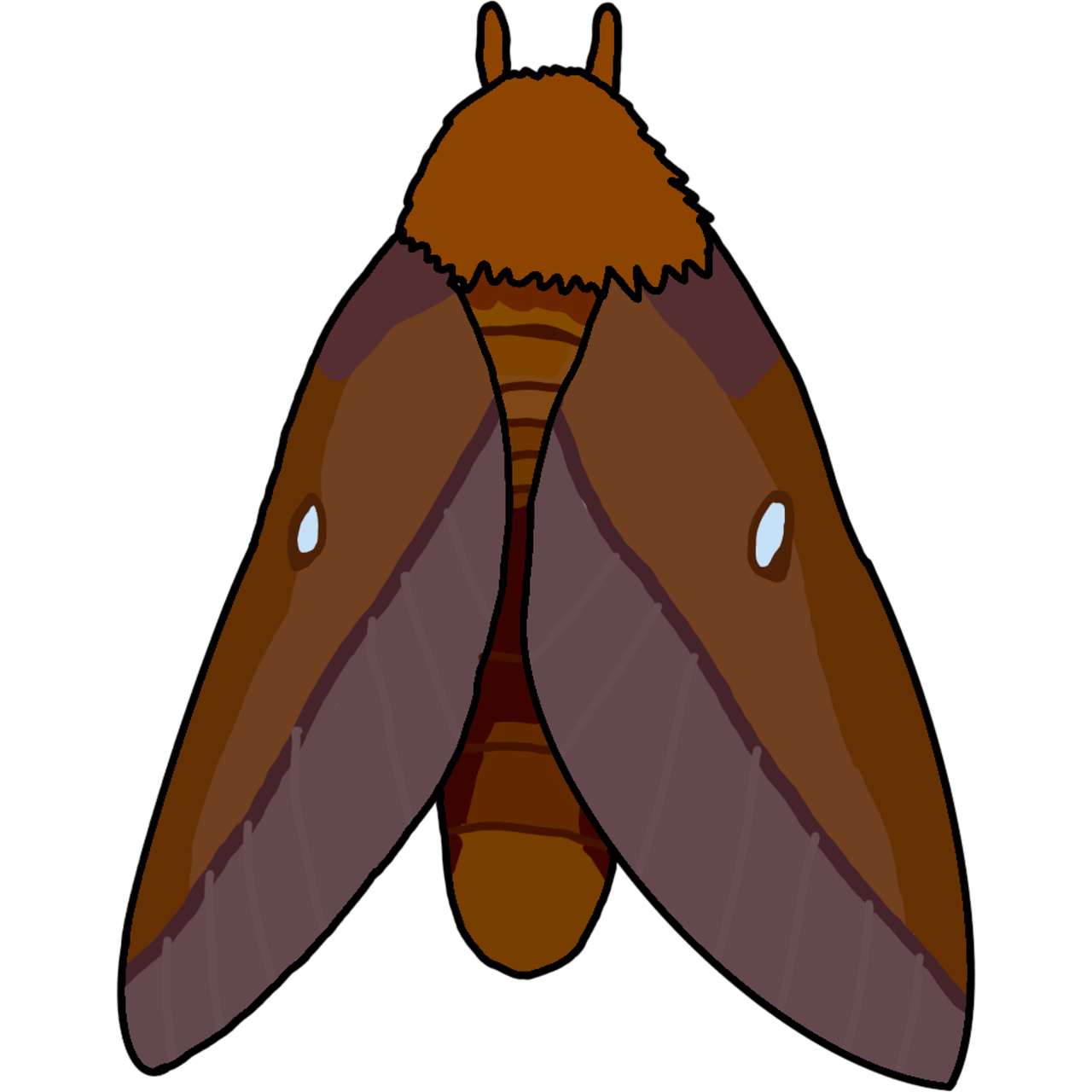 Download Oak Worm Moth Moth Insect Royalty Free Stock Illustration Image Pixabay