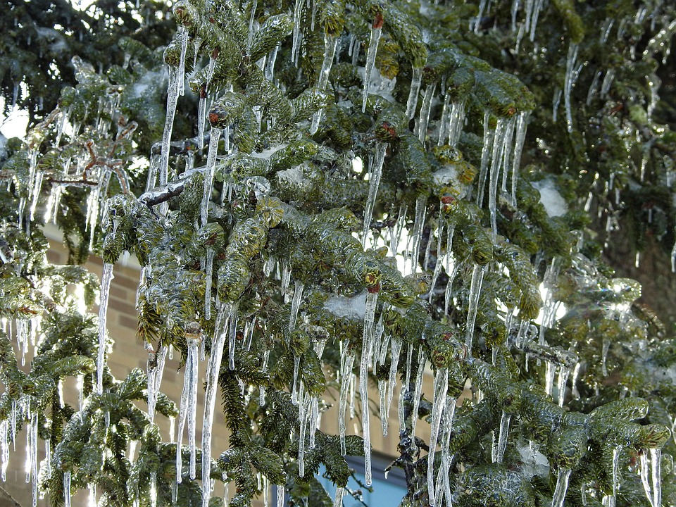 Winter Icicle - Free photo on Pixabay - Pixabay