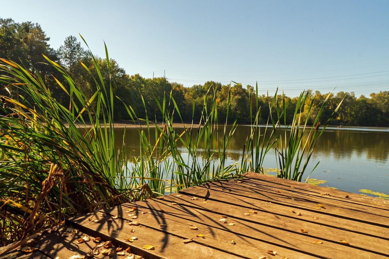 Local Recreation Area Destination - Free photo on Pixabay - Pixabay