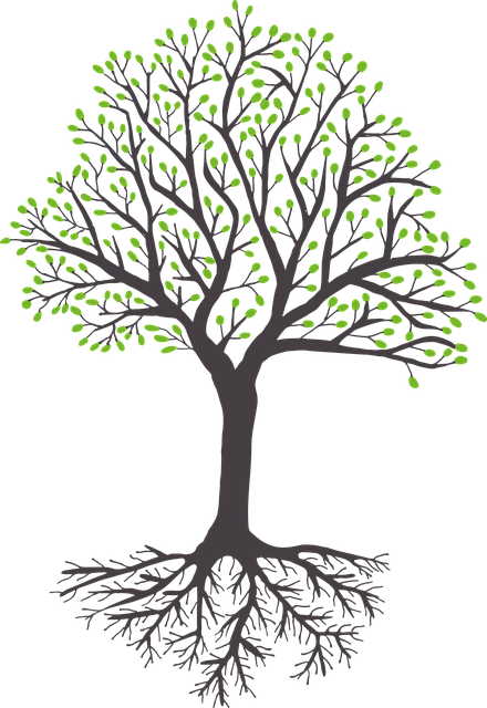 1.000+ kostenlose Laubbaum und Natur-Bilder - Pixabay