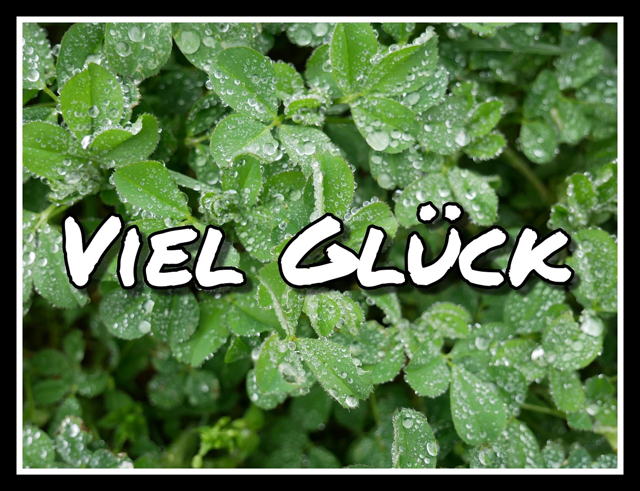 La Nature Paysage Vert - Photo gratuite sur Pixabay