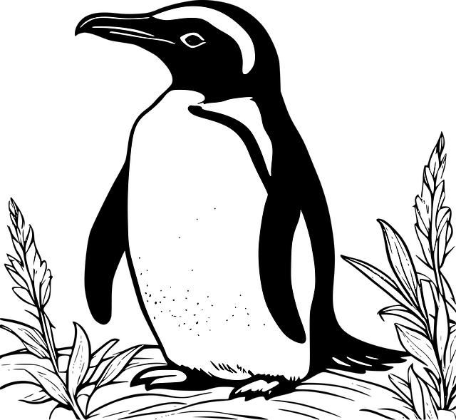 Explore 381+ Free Antarctica Illustrations: Download Now - Pixabay