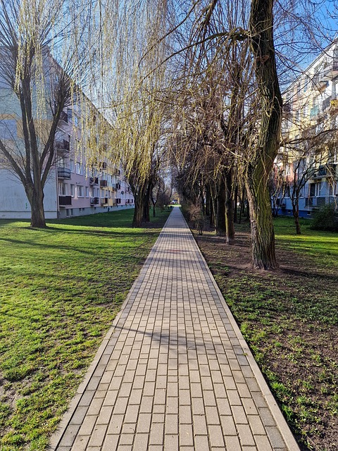 Gehweg Der Pfad Straße - Kostenloses Foto auf Pixabay