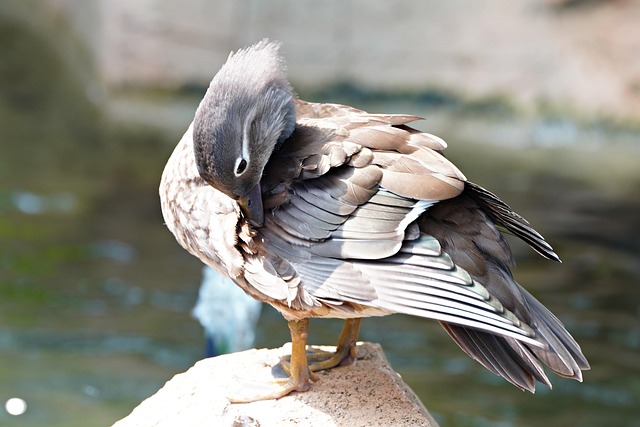 1,000+ Free Teal & Nature Images - Pixabay