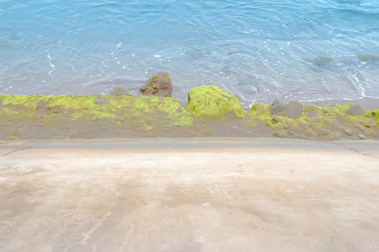 Seaside Beach Sea - Free photo on Pixabay