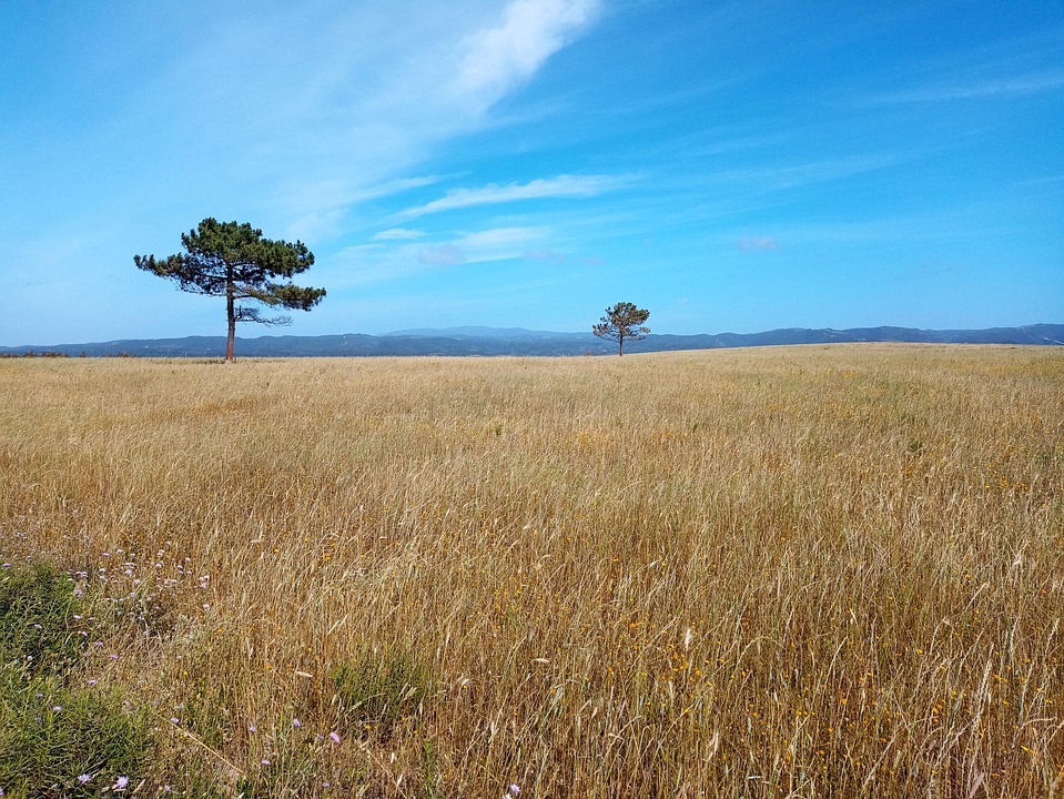 Monchique Algarve Luonne - Ilmainen valokuva Pixabayssa - Pixabay