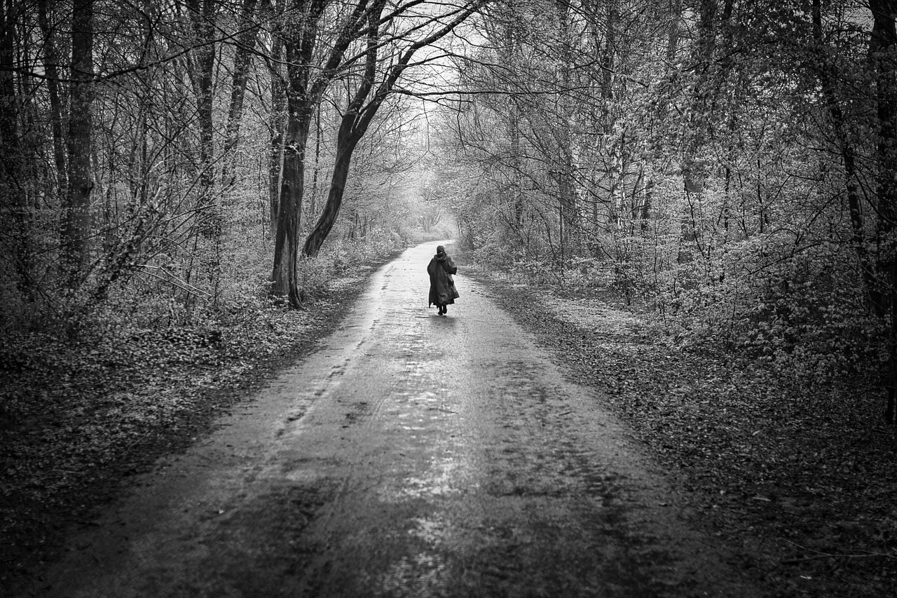 Forest Walk Black - Free photo on Pixabay - Pixabay