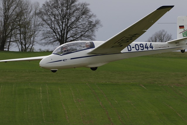 Piloto De Planeador Delta Avión - Foto gratis en Pixabay - Pixabay