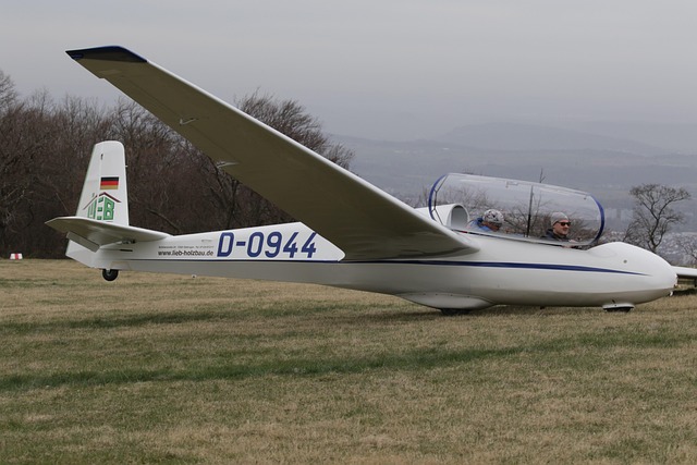 Piloto De Planeador Delta Avión - Foto gratis en Pixabay - Pixabay