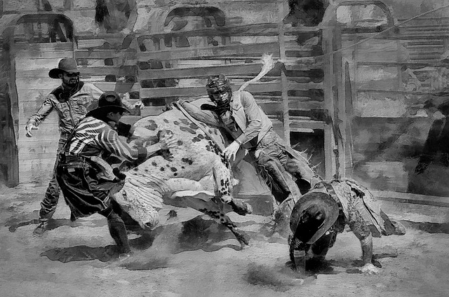 300+ Free Rodeo & Cowboy Images - Pixabay