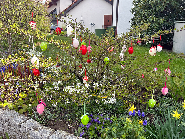 Download Easter Eggs, Easter Egg Tree, Shrub. Royalty-Free Stock ...