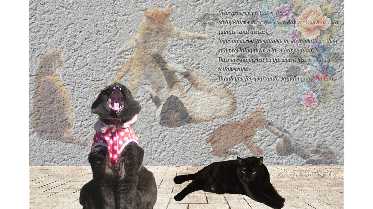 Download Kitty Cat Kitten Royalty Free Stock Illustration Image Pixabay