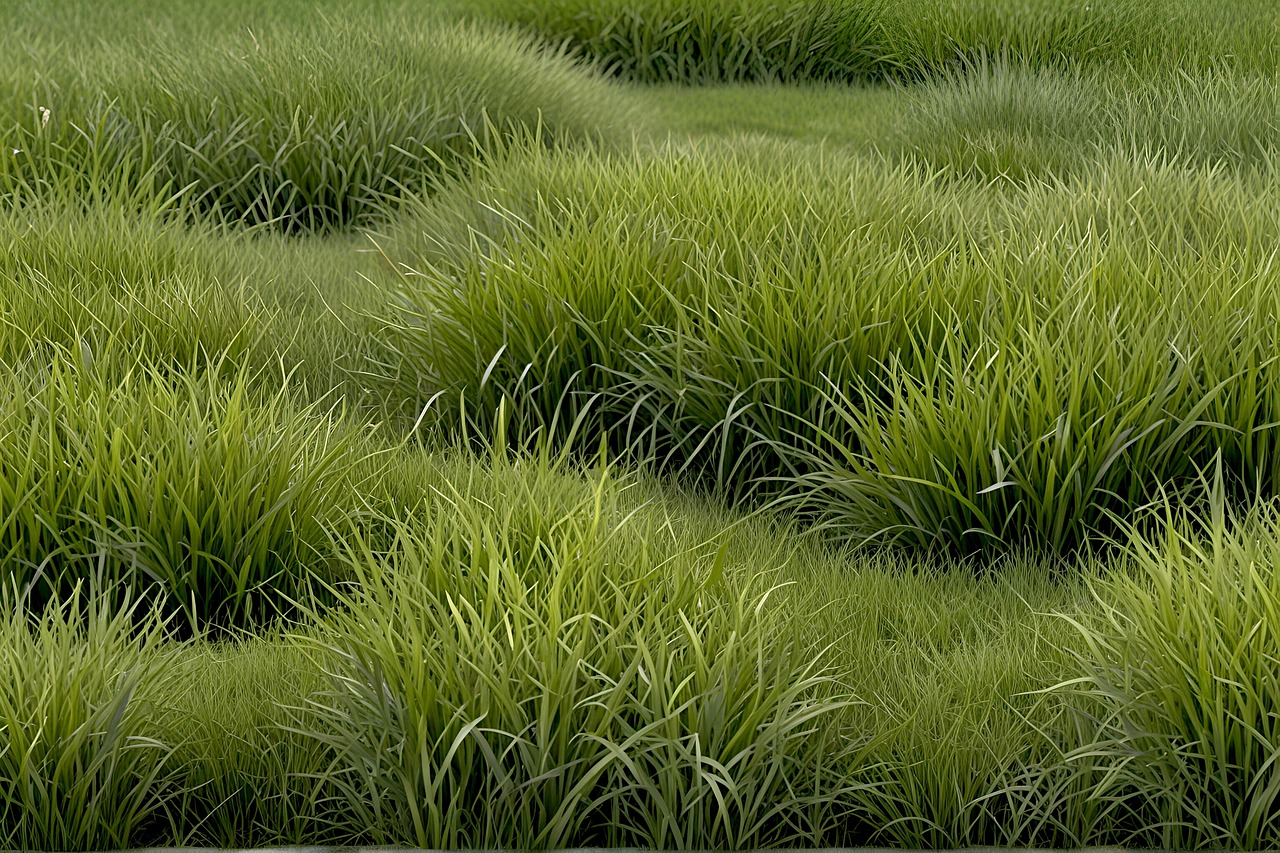 Download Ai Generated Prairie Grass Royalty Free Stock Illustration Image Pixabay