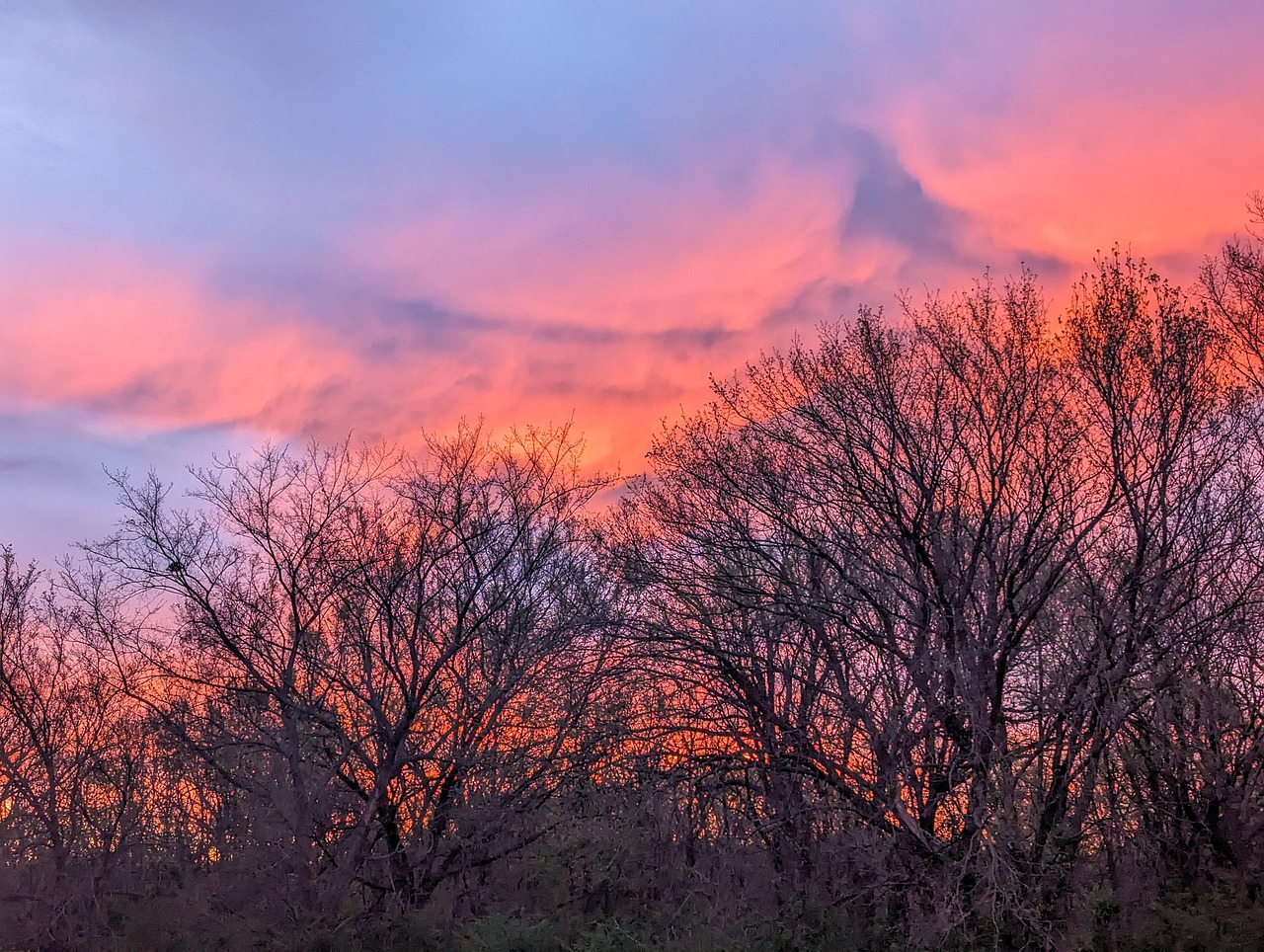 Wilderness Earth Day Morning - Free photo on Pixabay - Pixabay