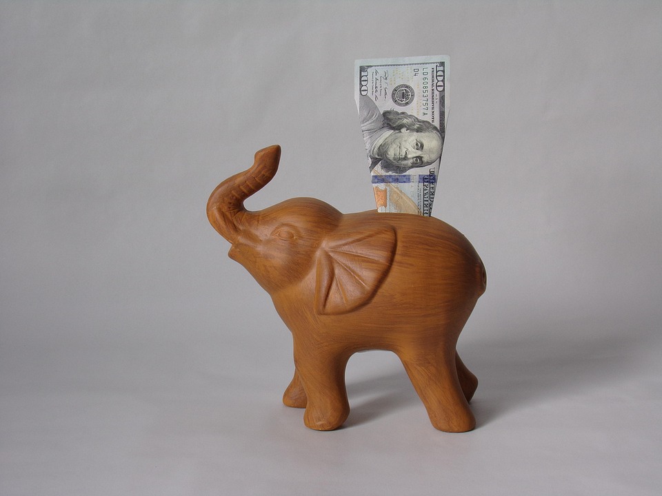 Money Elephant Savings - Free photo on Pixabay - Pixabay