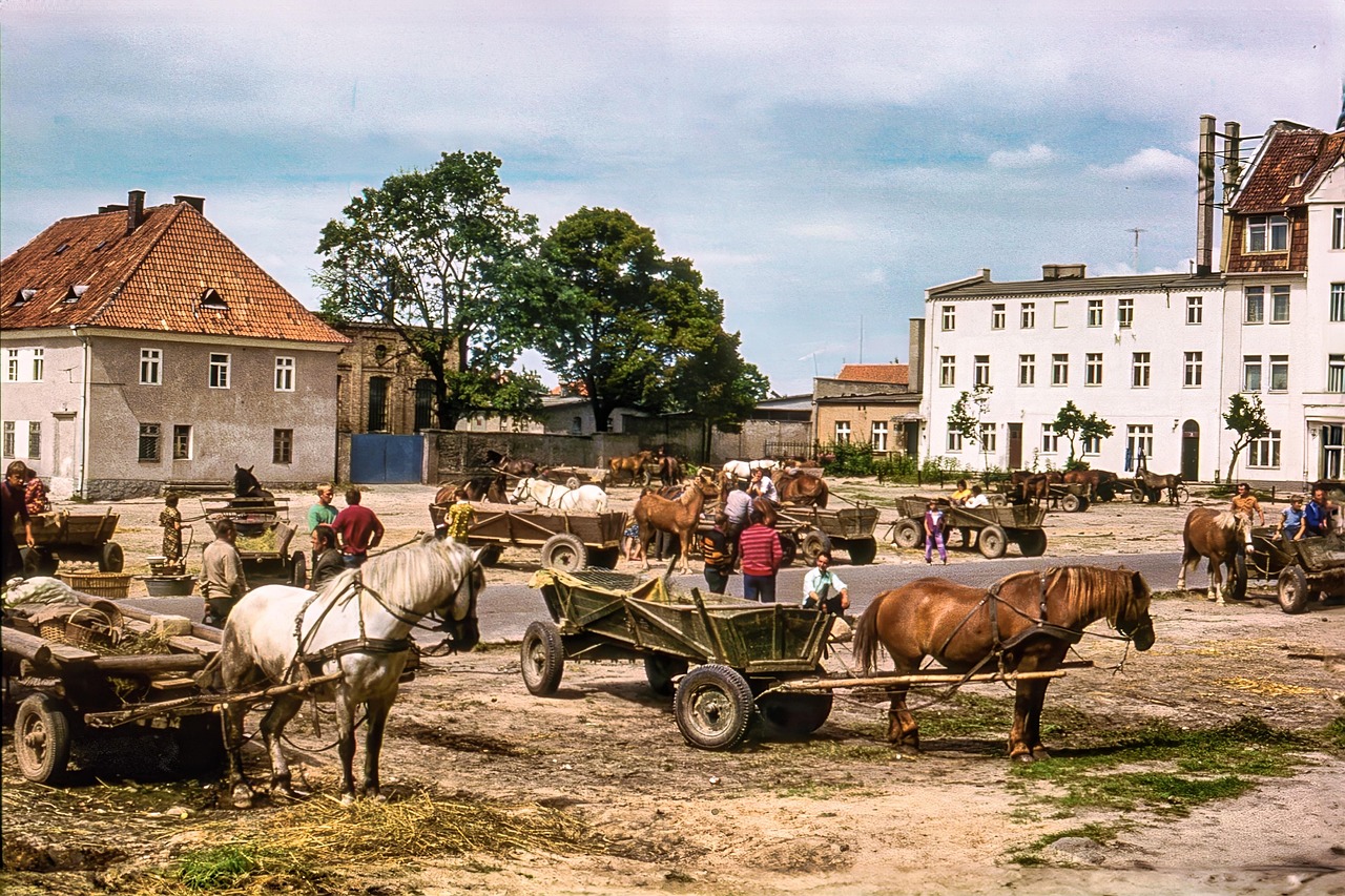 หินทั้งหมด Olsztyn โปแลนด์ - ภาพฟรีบน Pixabay - Pixabay