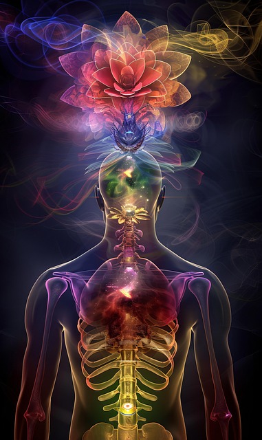 100+ Free Holistic & Meditation Images - Pixabay