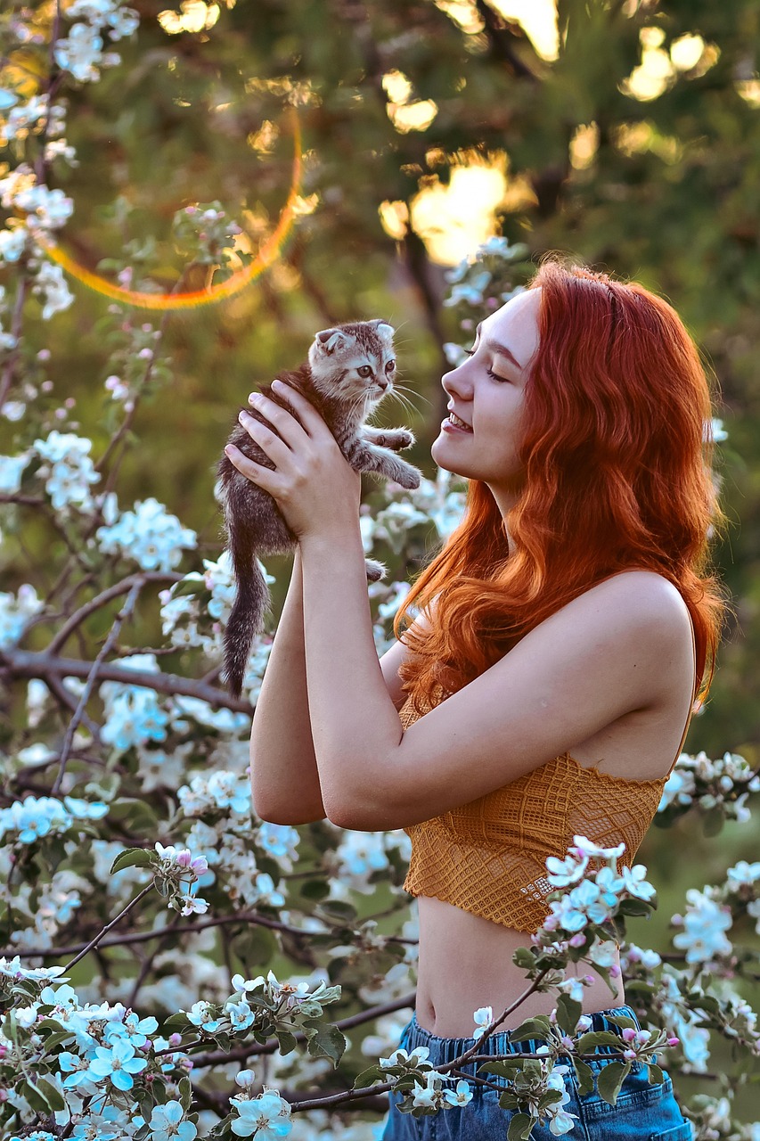 Woman Kitten Flowers - Free photo on Pixabay - Pixabay