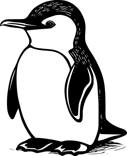 Download Birds, Ornithology, Penguins. Royalty-Free Stock Illustration ...