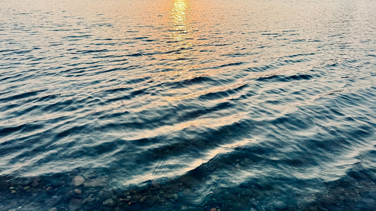 River Water Riverside Sunset - Free photo on Pixabay - Pixabay