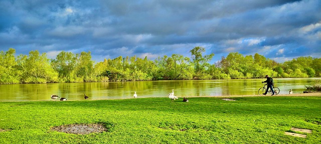 Nature Riverside Landscape - Free photo on Pixabay - Pixabay