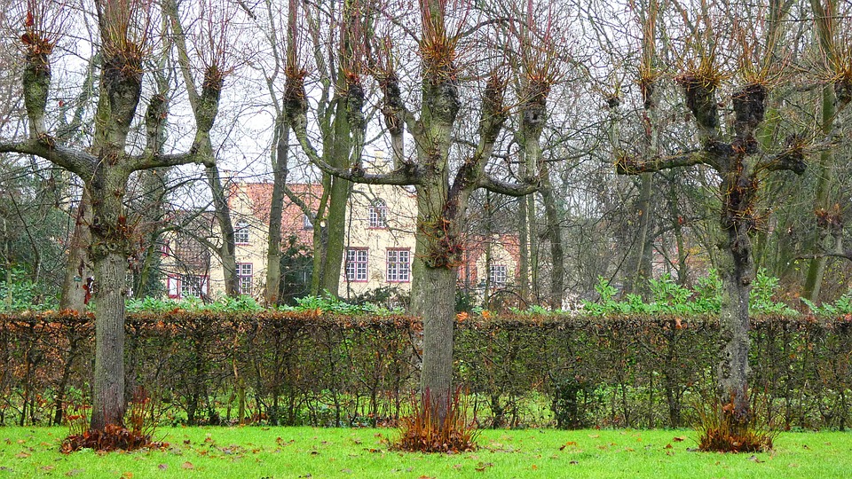 Parc Jardin Allée Le Grand - Free photo on Pixabay - Pixabay