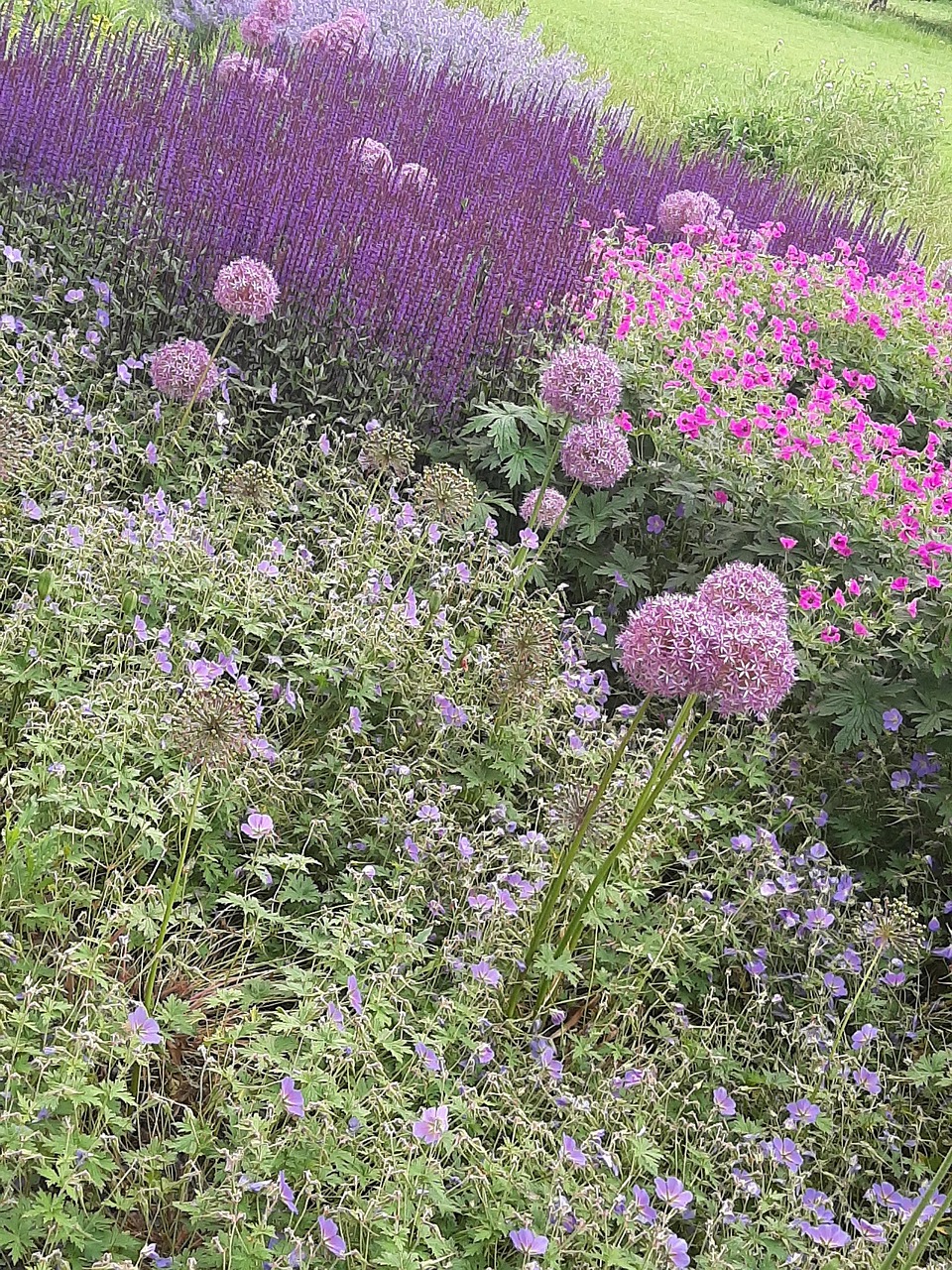 Flower Meadow Landscape - Free photo on Pixabay - Pixabay