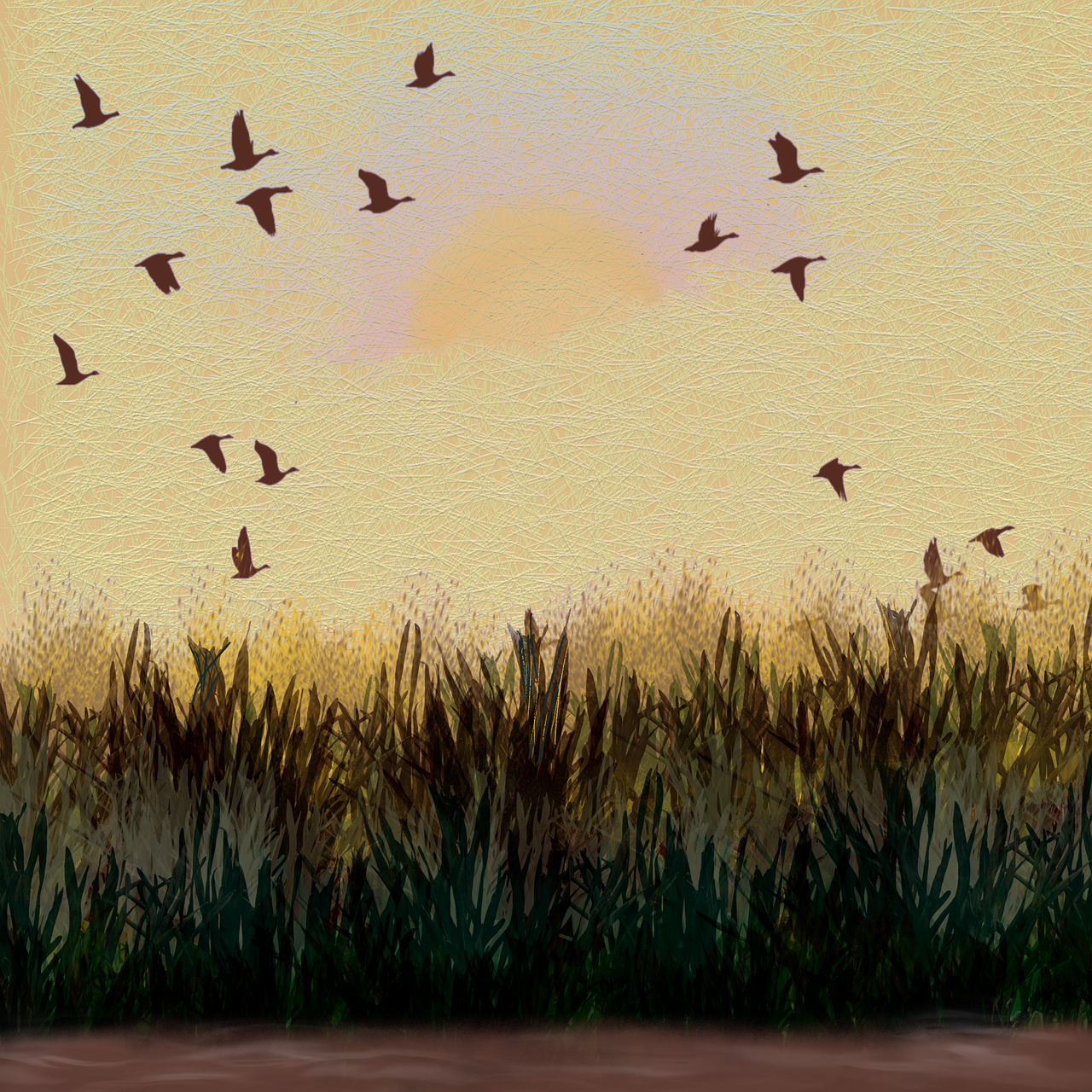 Humedales Fauna Silvestre Amanecer - Imagen gratis en Pixabay - Pixabay
