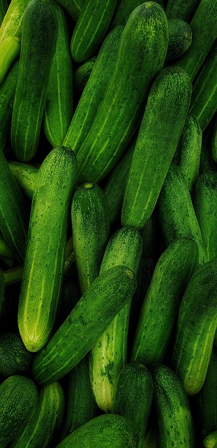 1,000+ Free Cucumber & Vegetables Images - Pixabay