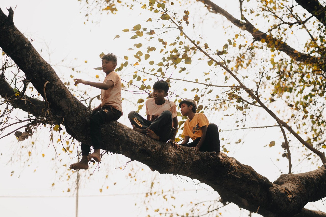 20,000+ Free Young Children & Children Images - Pixabay