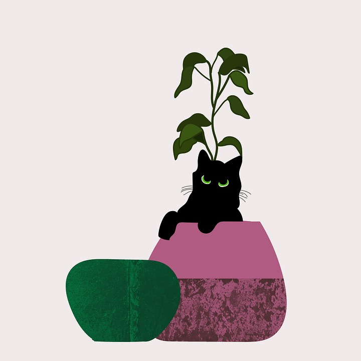 Download Plant, Floral Background, Cat. Royalty-Free Stock Illustration ...