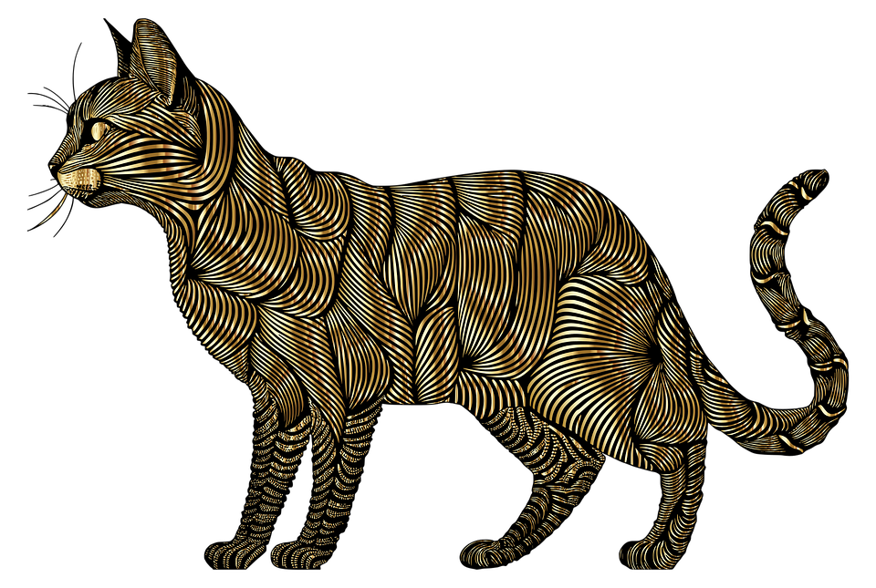 Download Cat, Nature, Feline. Royalty-Free Vector Graphic - Pixabay