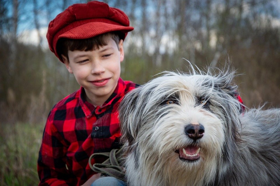 Boy Dog Portrait - Free photo on Pixabay