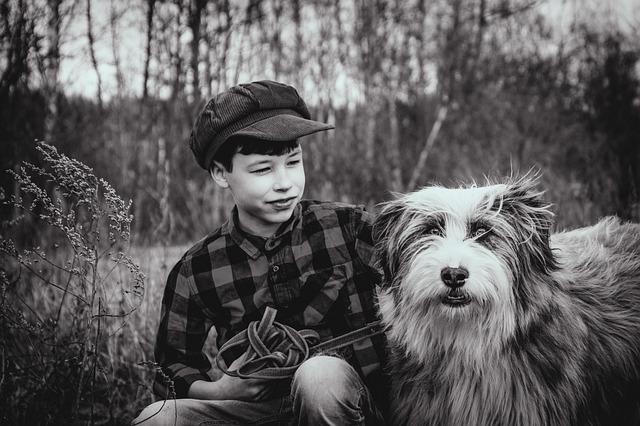 Boy Dog Portrait - Free photo on Pixabay - Pixabay