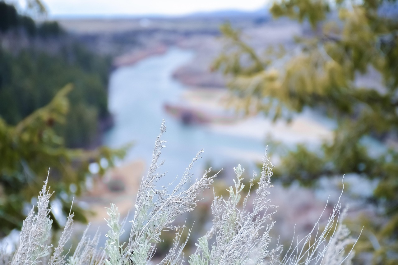 Grass Nature Landscape - Free photo on Pixabay - Pixabay