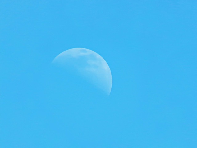 Lua Azul Natureza - Foto gratuita no Pixabay - Pixabay
