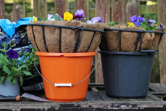 Gardening Planting Hanging Baskets - Free photo on Pixabay - Pixabay