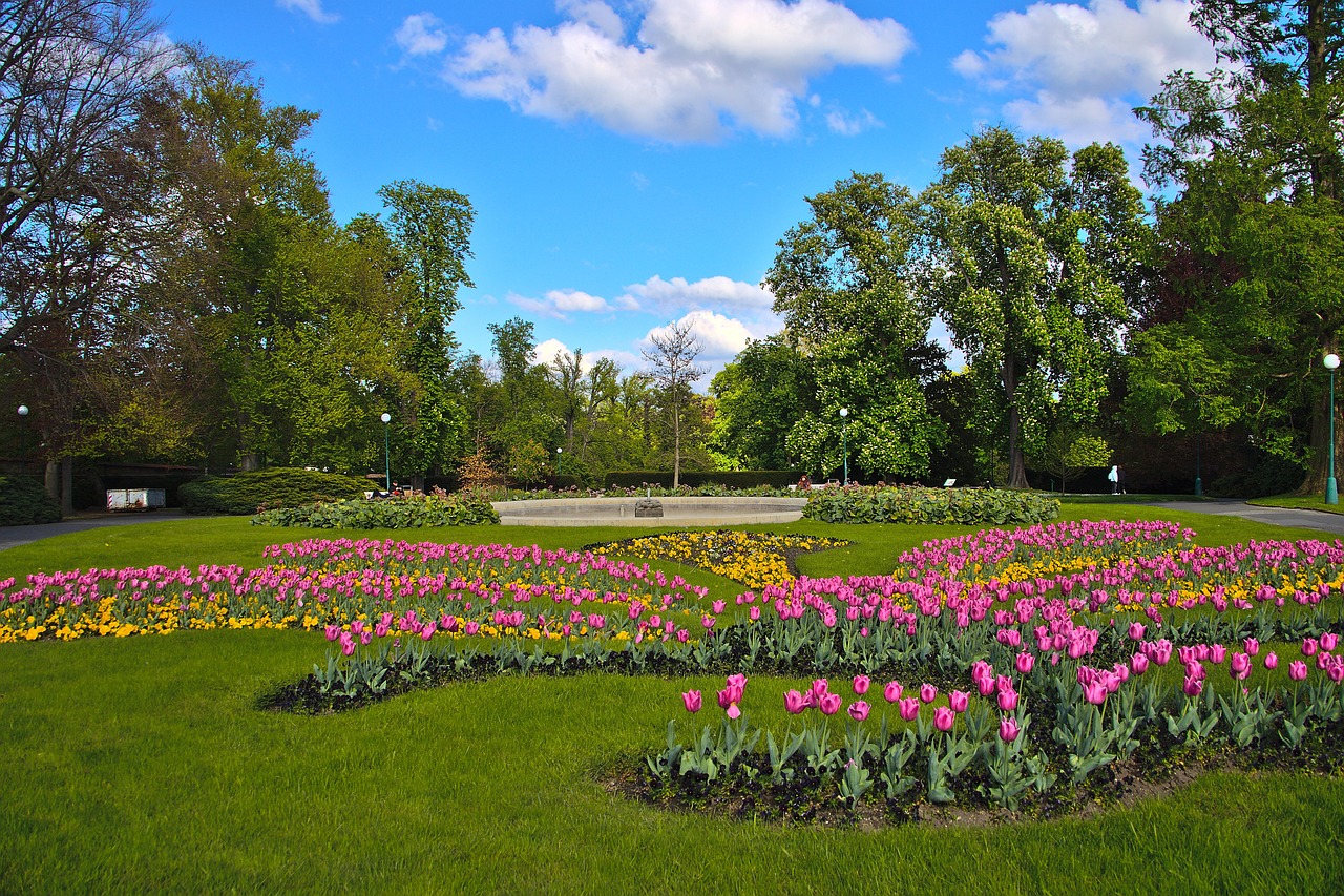 Prague Tulipes Fleurs - Photo gratuite sur Pixabay - Pixabay
