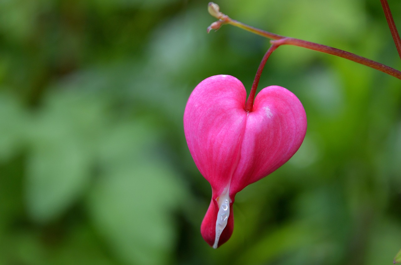Discover and download free images - Pixabay