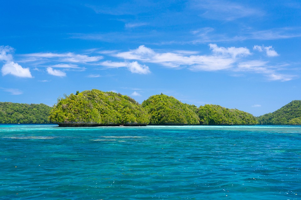 Palau Natur Meer - Kostenloses Foto auf Pixabay - Pixabay