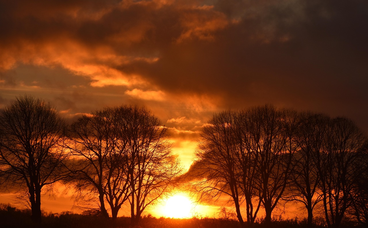Sunset Nature Sky - Free photo on Pixabay - Pixabay