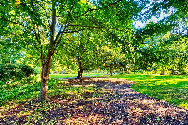 Park Plants Environment - Free photo on Pixabay - Pixabay
