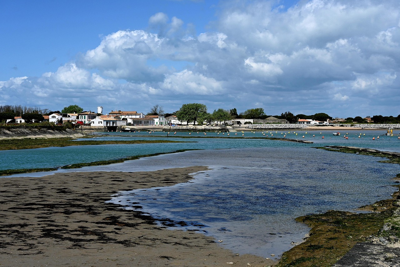 Island Marsh Beach - Free photo on Pixabay - Pixabay