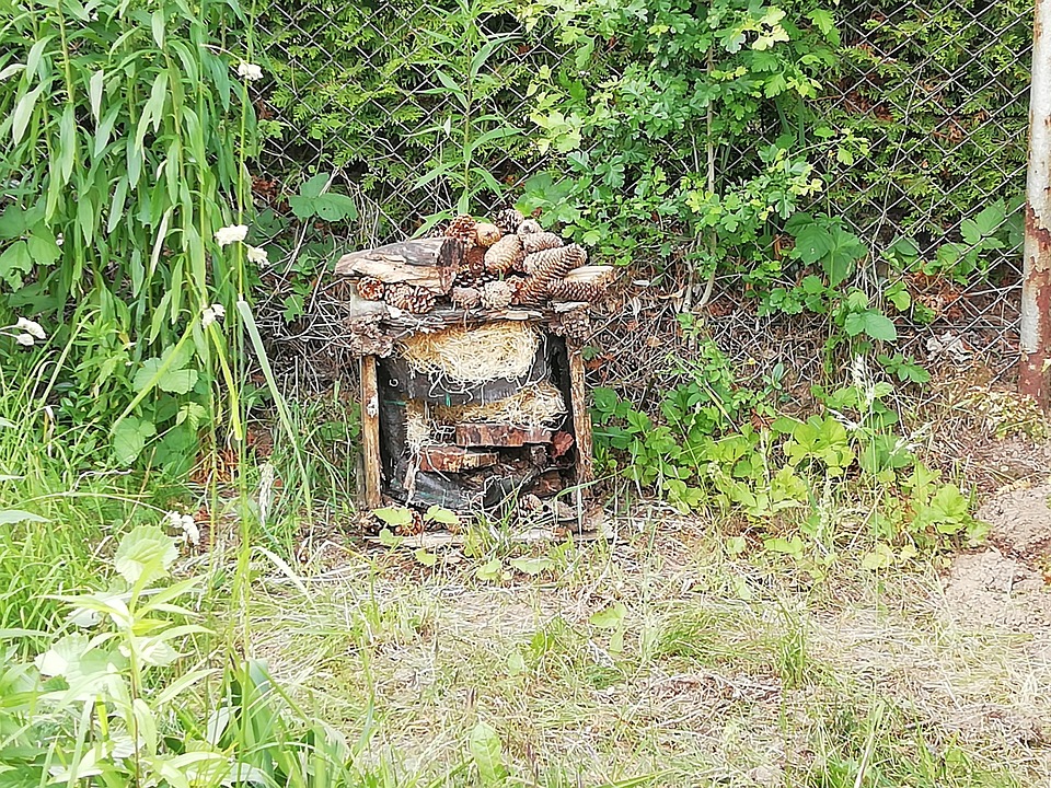 Insect Habitat Hotel - Free photo on Pixabay - Pixabay