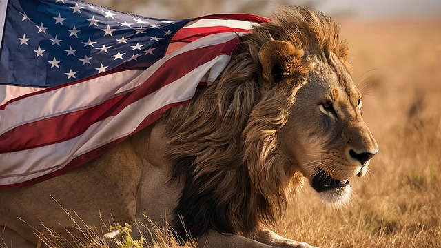 Download Lion, Animal, Usa. Royalty-Free Stock Illustration Image - Pixabay