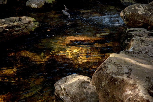 Water Nature Flow - Free photo on Pixabay - Pixabay