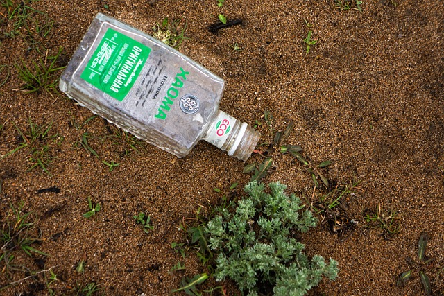 Rubbish Bottle Alcohol - Free photo on Pixabay - Pixabay